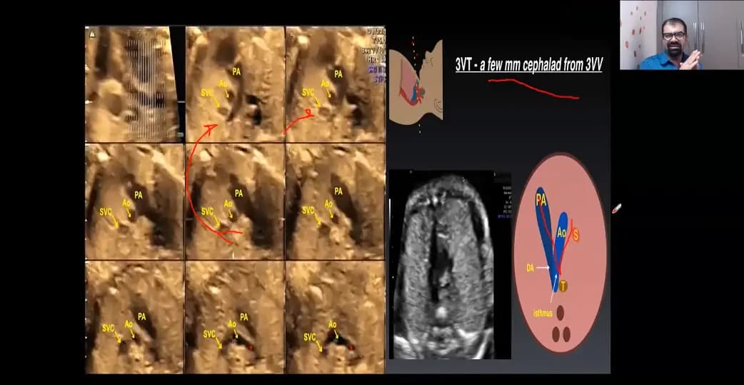 Ultrasound Training Institute | Bilmed Group